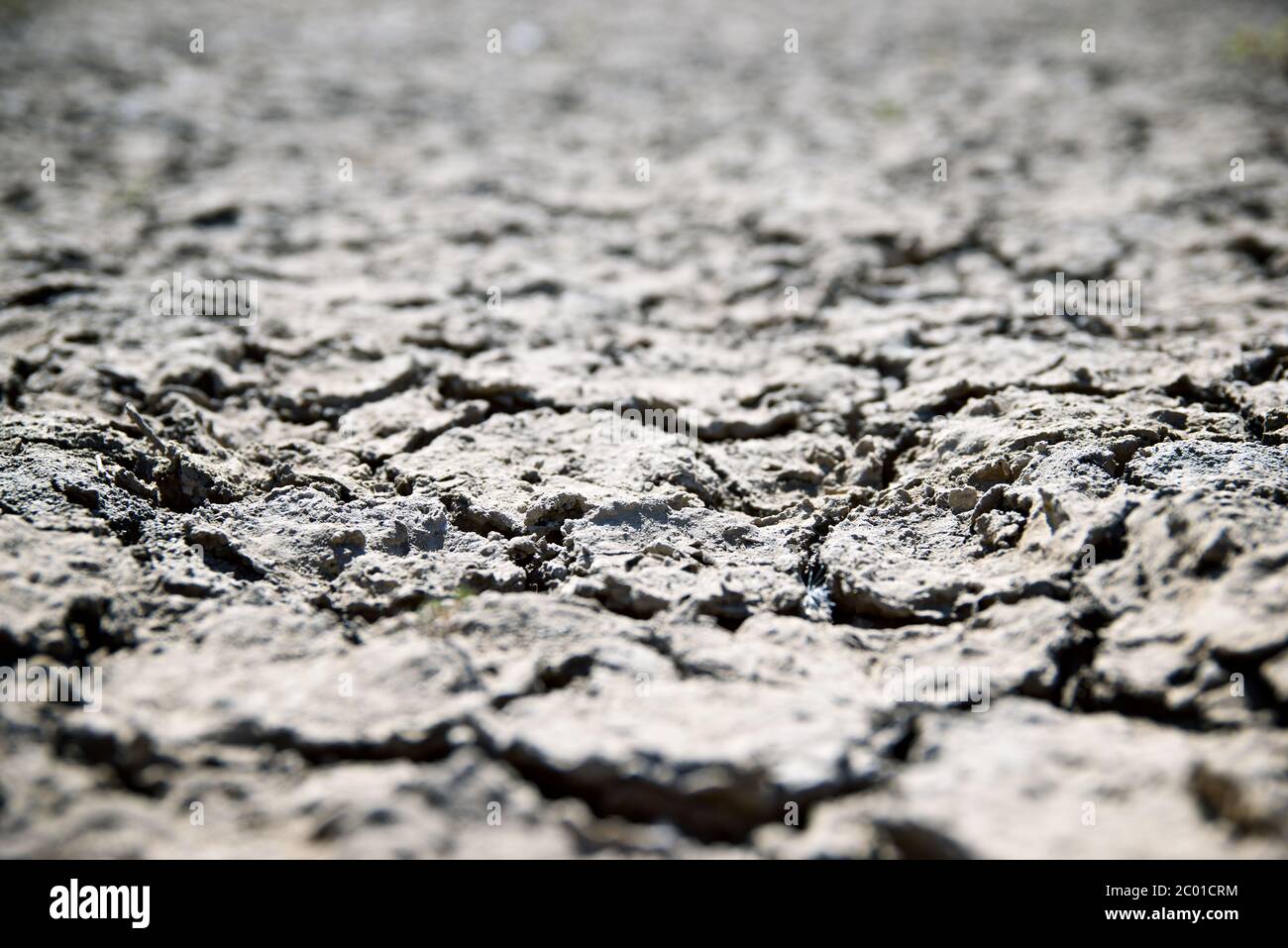 Background in high resolution created with drought land Stock Photo - Alamy
