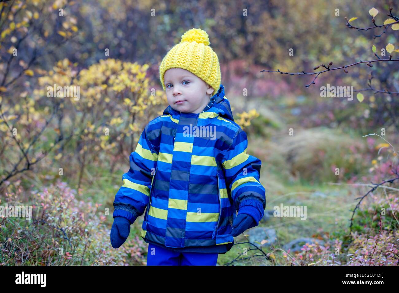 Children posing in beautiful aerial view of the nature in Skaftafell ...