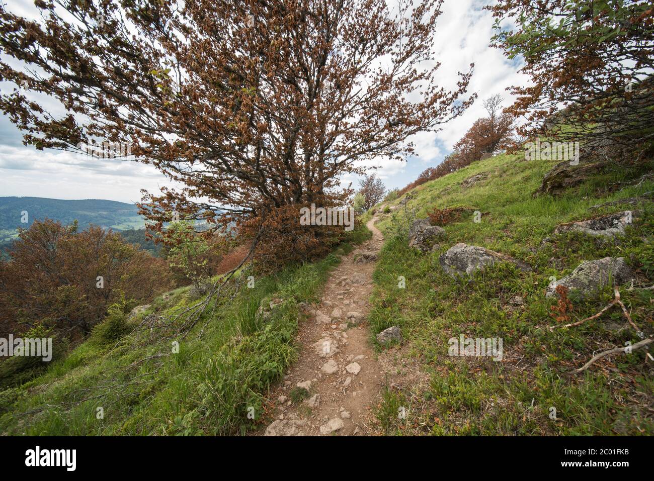 landscape in the black forest in germany at belchen which is 1414m high ...