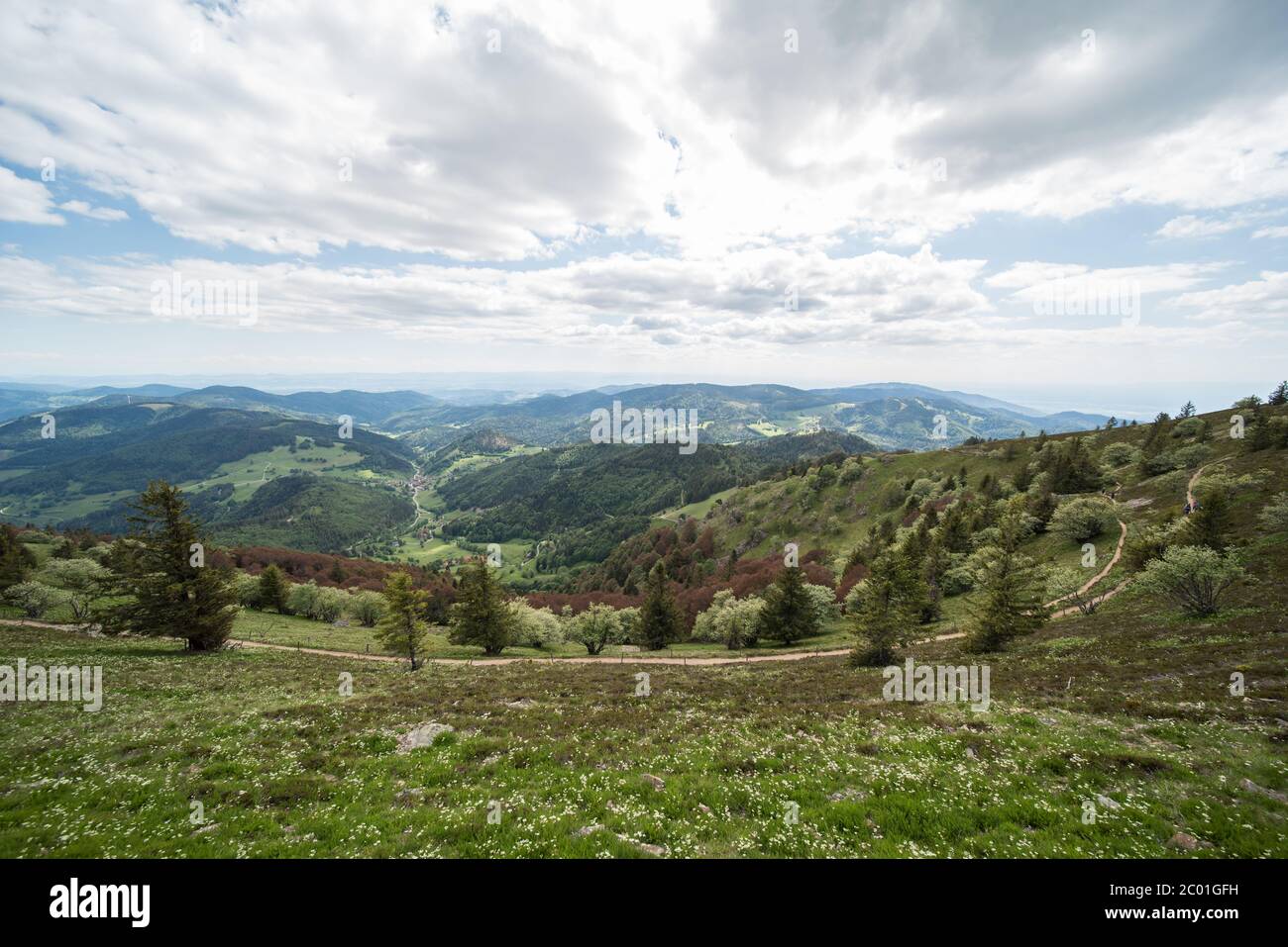 landscape in the black forest in germany at belchen which is 1414m high ...