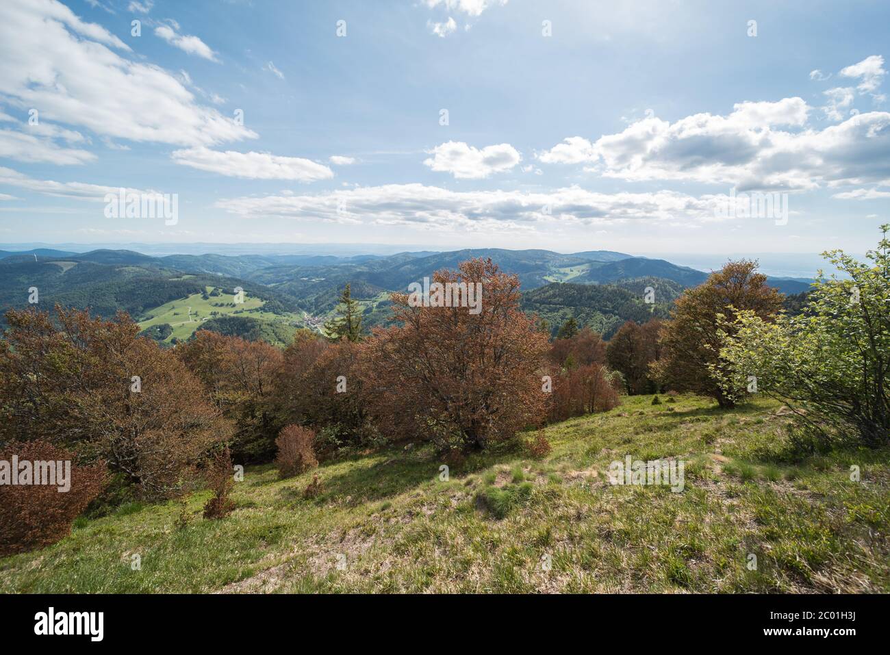 landscape in the black forest in germany at belchen which is 1414m high ...