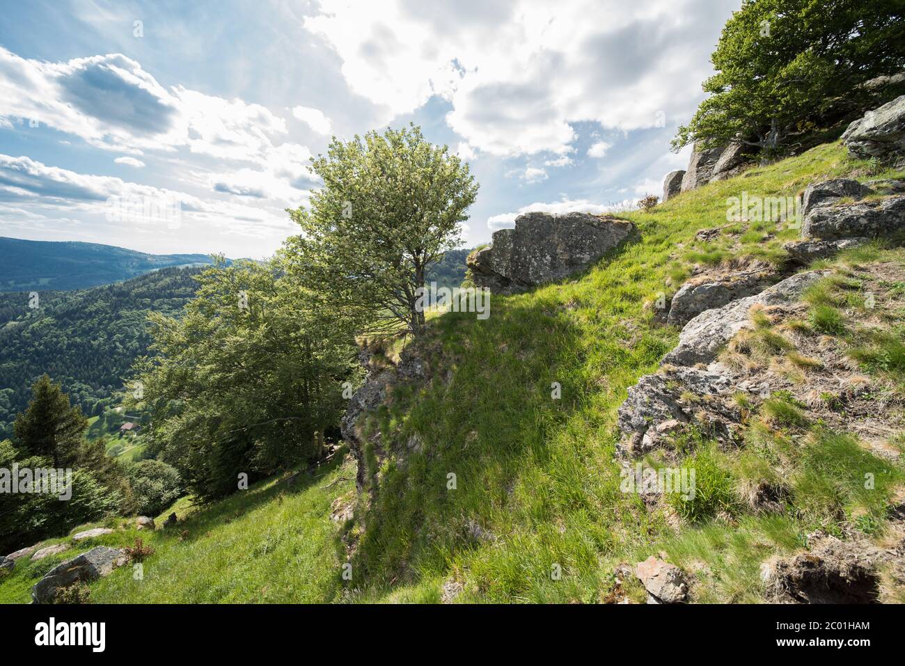 landscape in the black forest in germany at belchen which is 1414m high ...