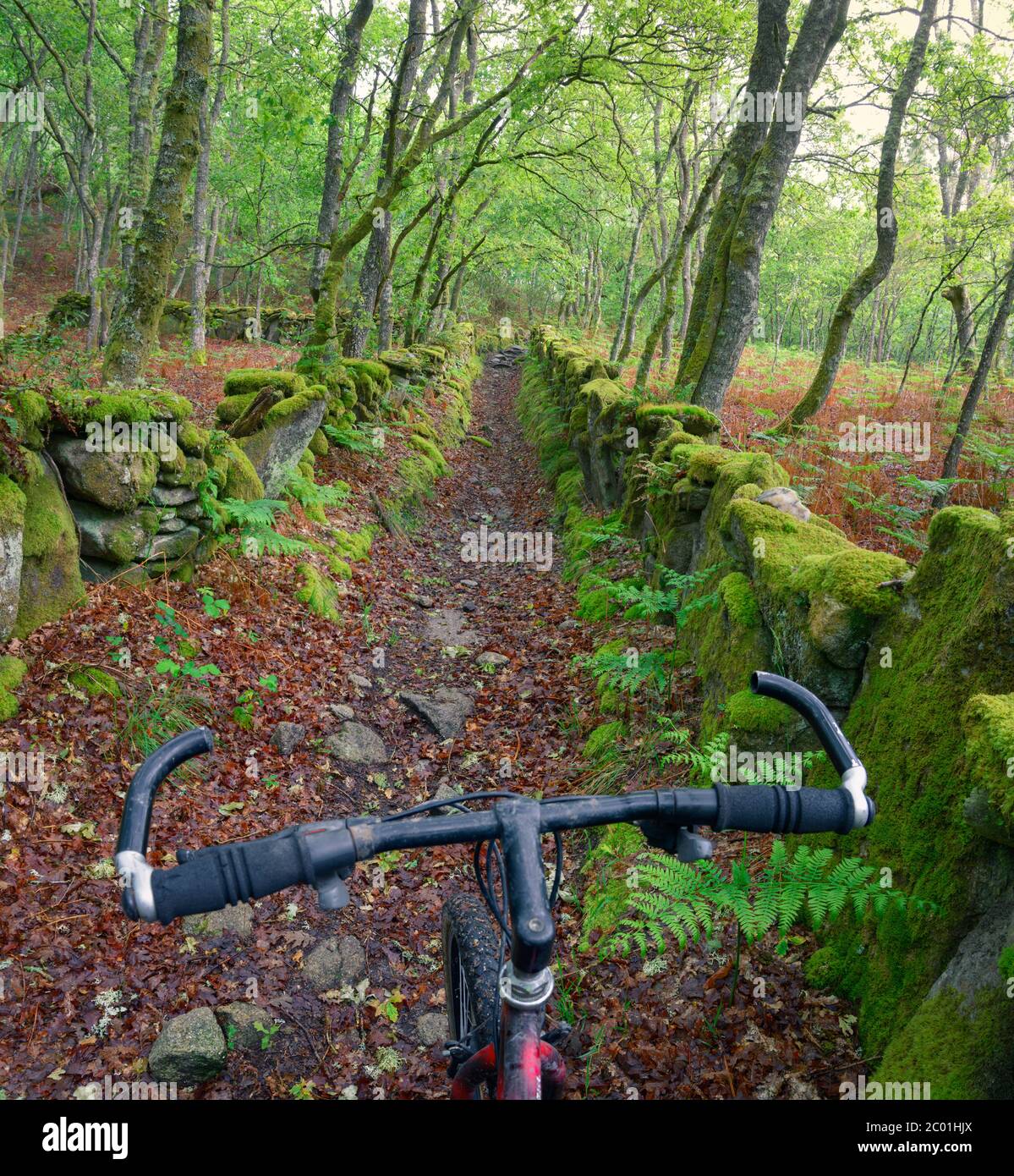 Biking through an old stony path that crosses forests between stone ...