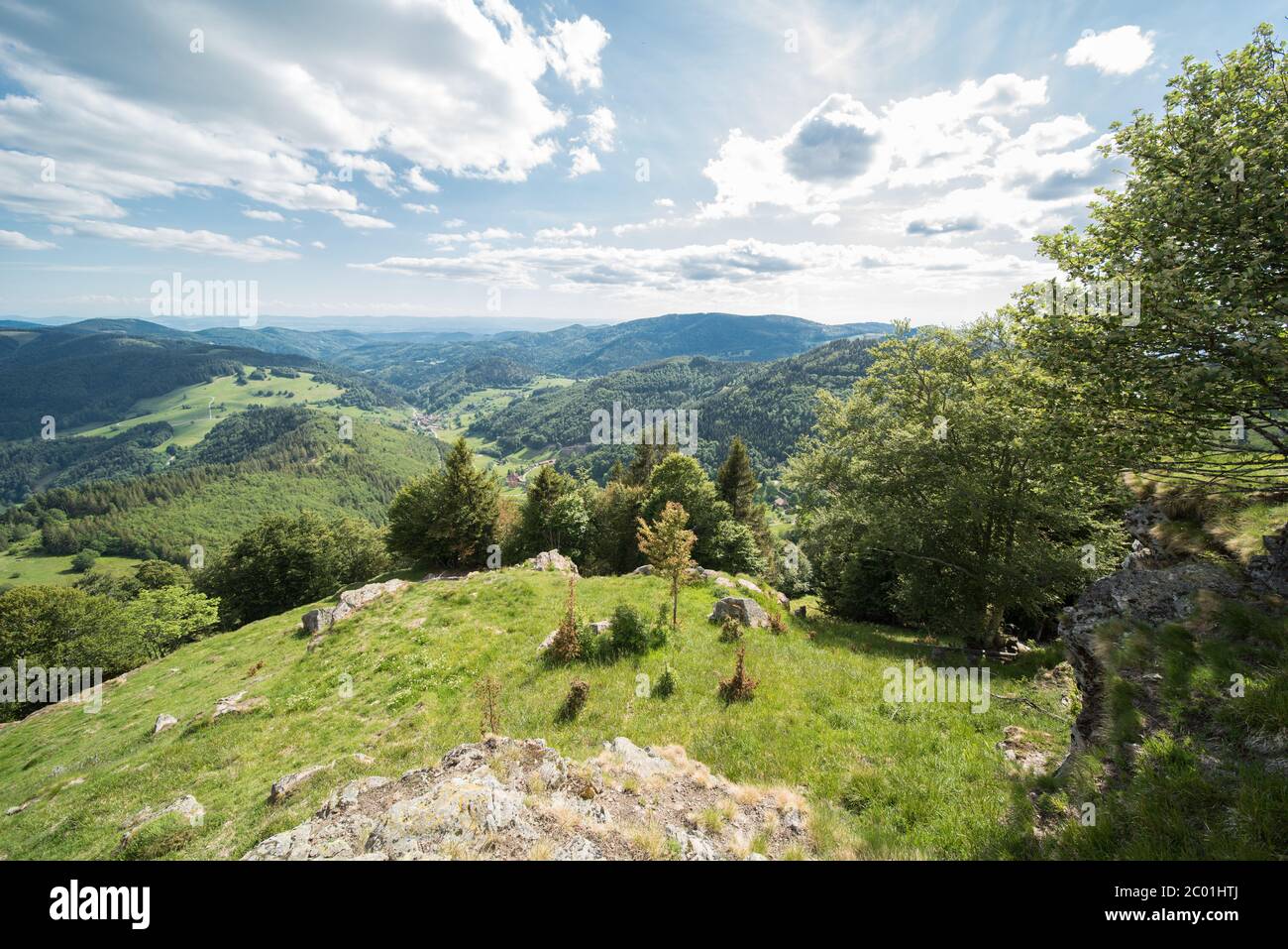 landscape in the black forest in germany at belchen which is 1414m high ...