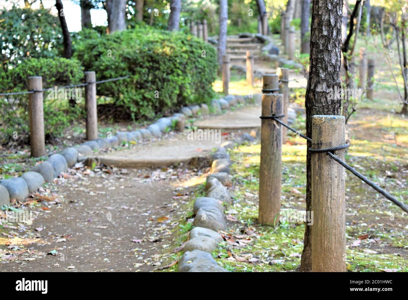 A hiking trail in a forest park is lined by cobblestones and short ...