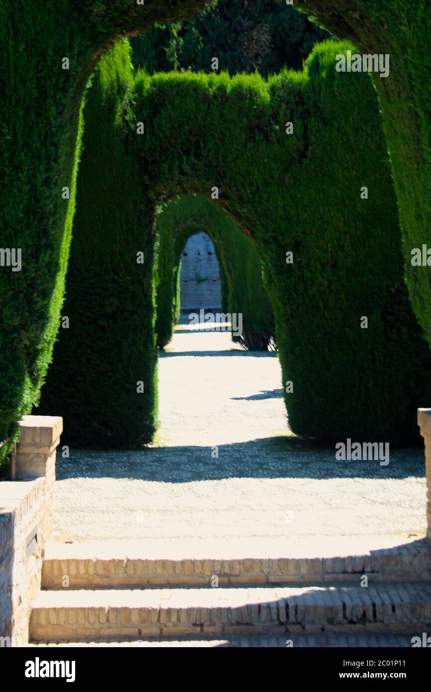 Green hedges in the shape of walk through arches in the Alhambra ...