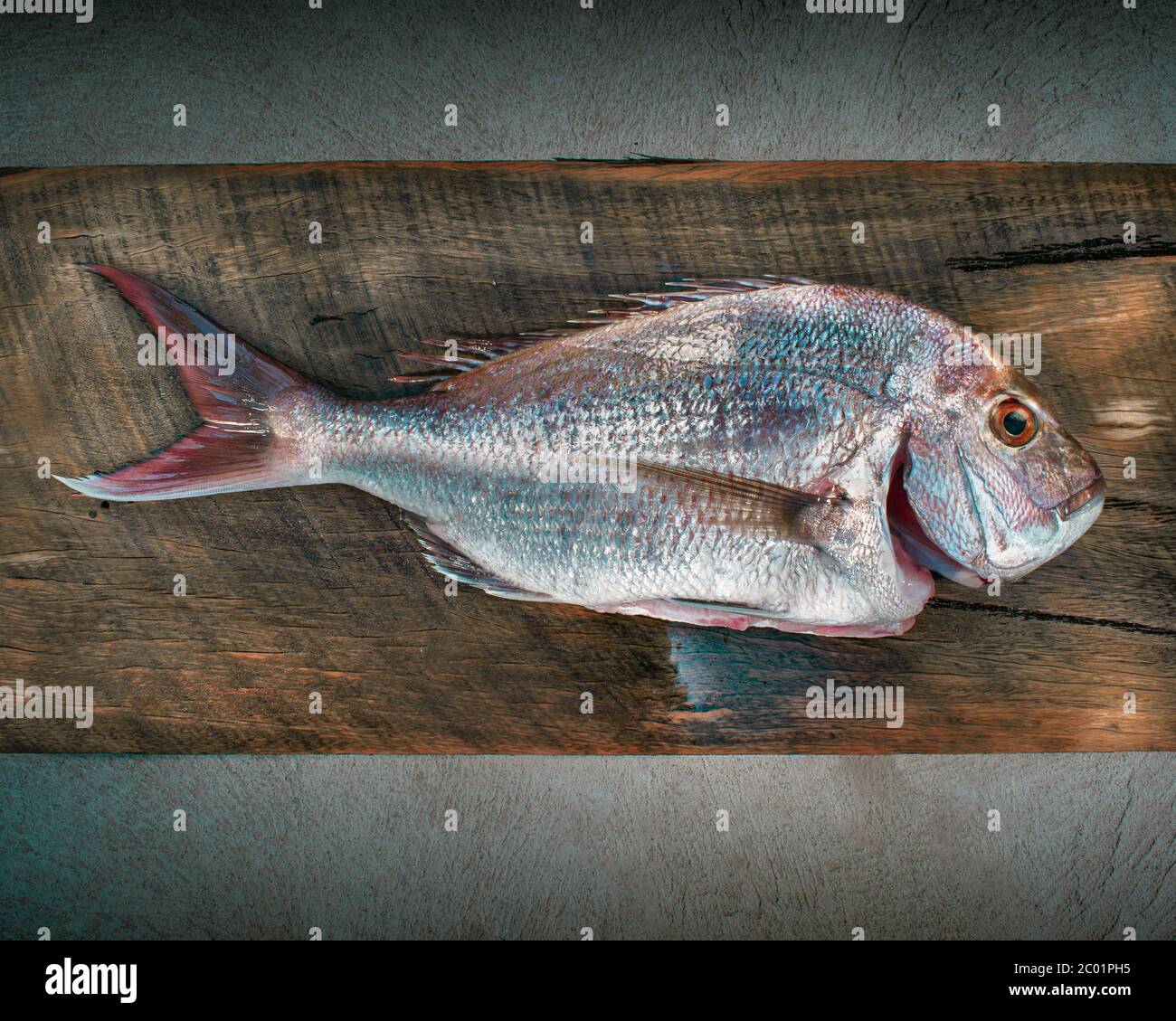 Fresh Australian Pink Snapper Stock Photo - Alamy