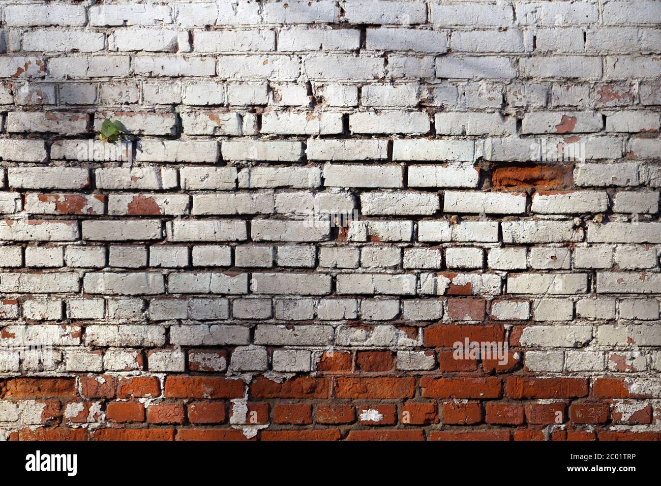 White brick texture hi-res stock photography and images - Alamy
