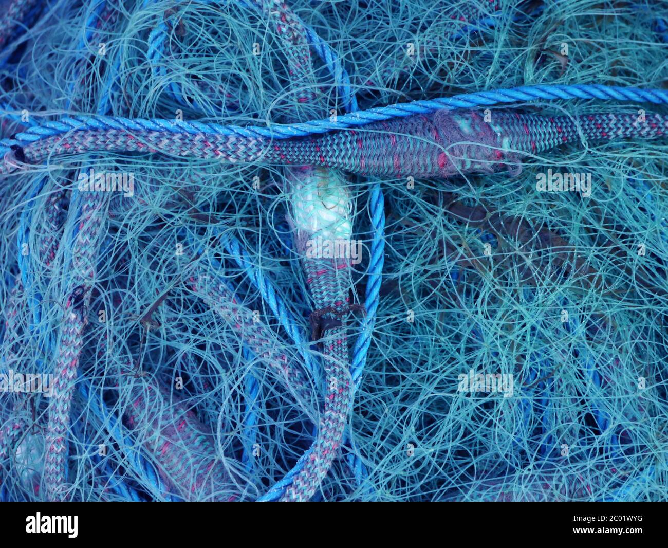 Bow net trap hi-res stock photography and images - Alamy