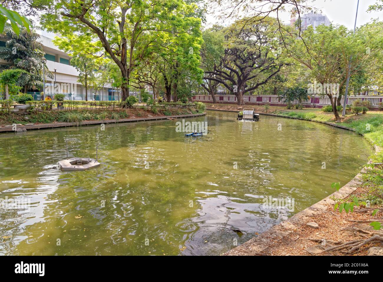 Lumphini park in pathum wan hi-res stock photography and images - Alamy