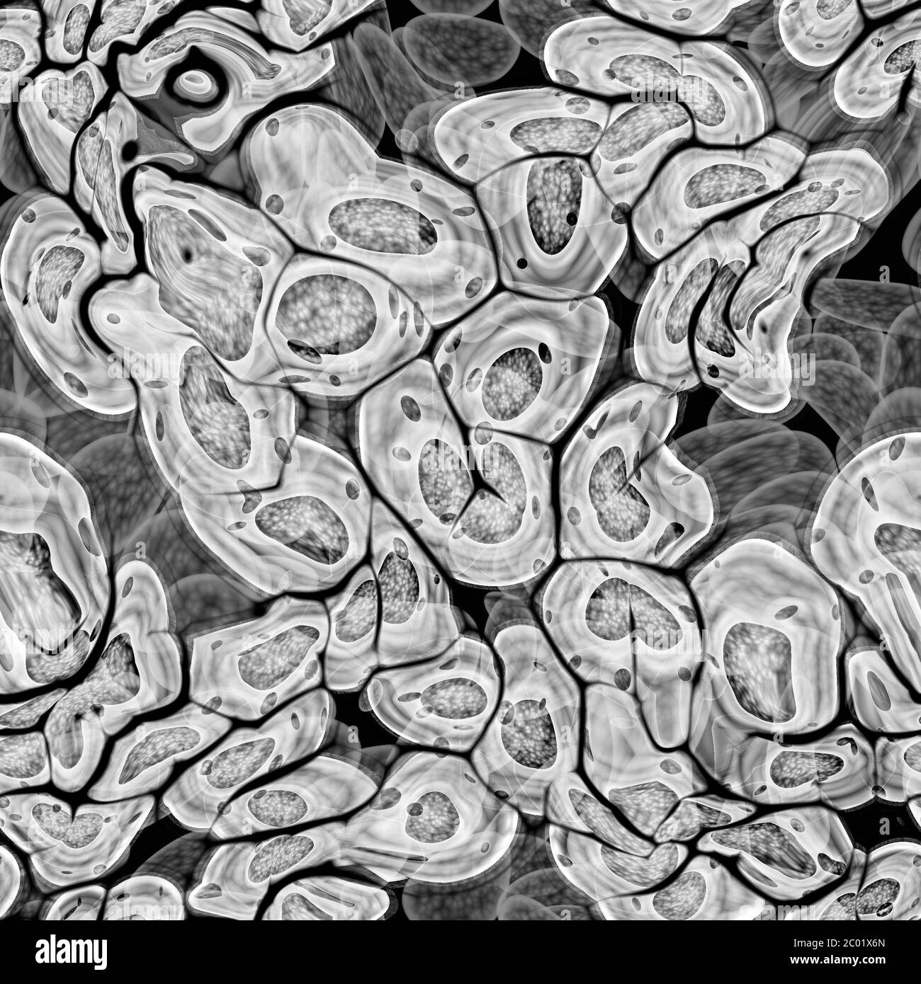 Bacteria colonies hi-res stock photography and images - Alamy