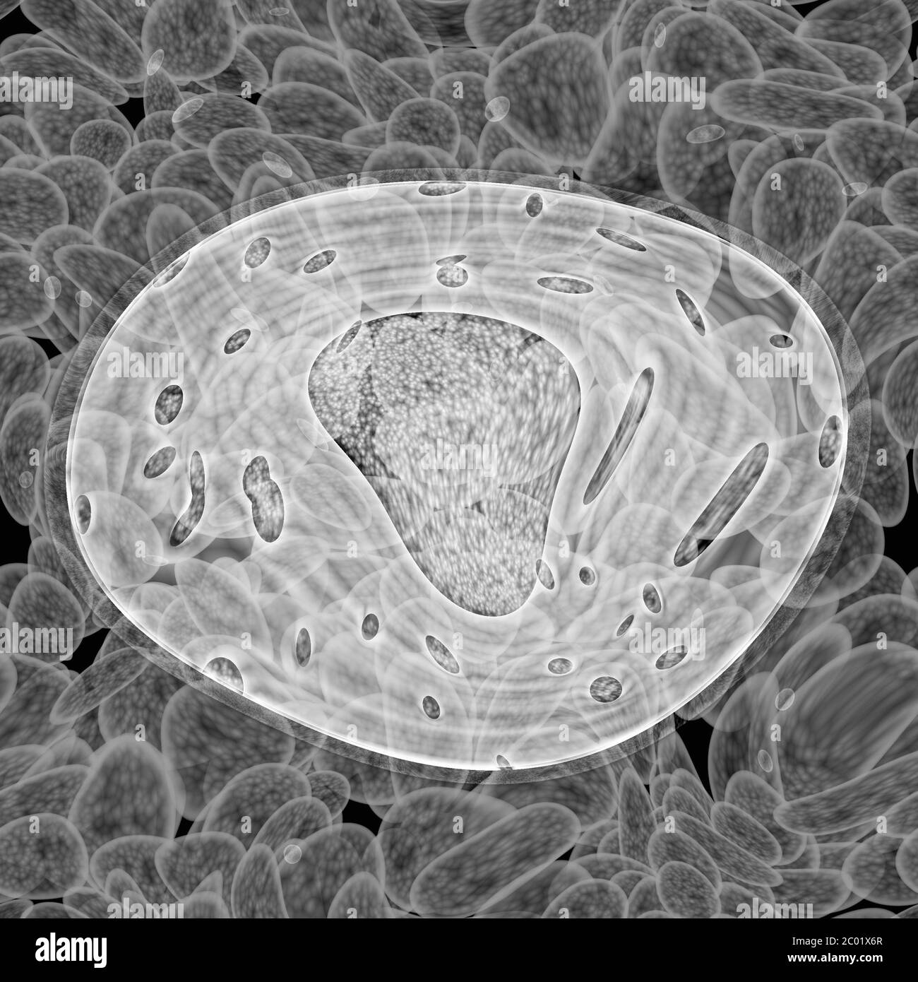 Colonies of bacteria hi-res stock photography and images - Alamy