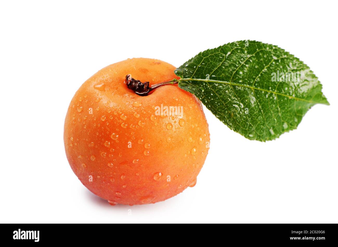Fresh apricot with a leaf Stock Photo - Alamy