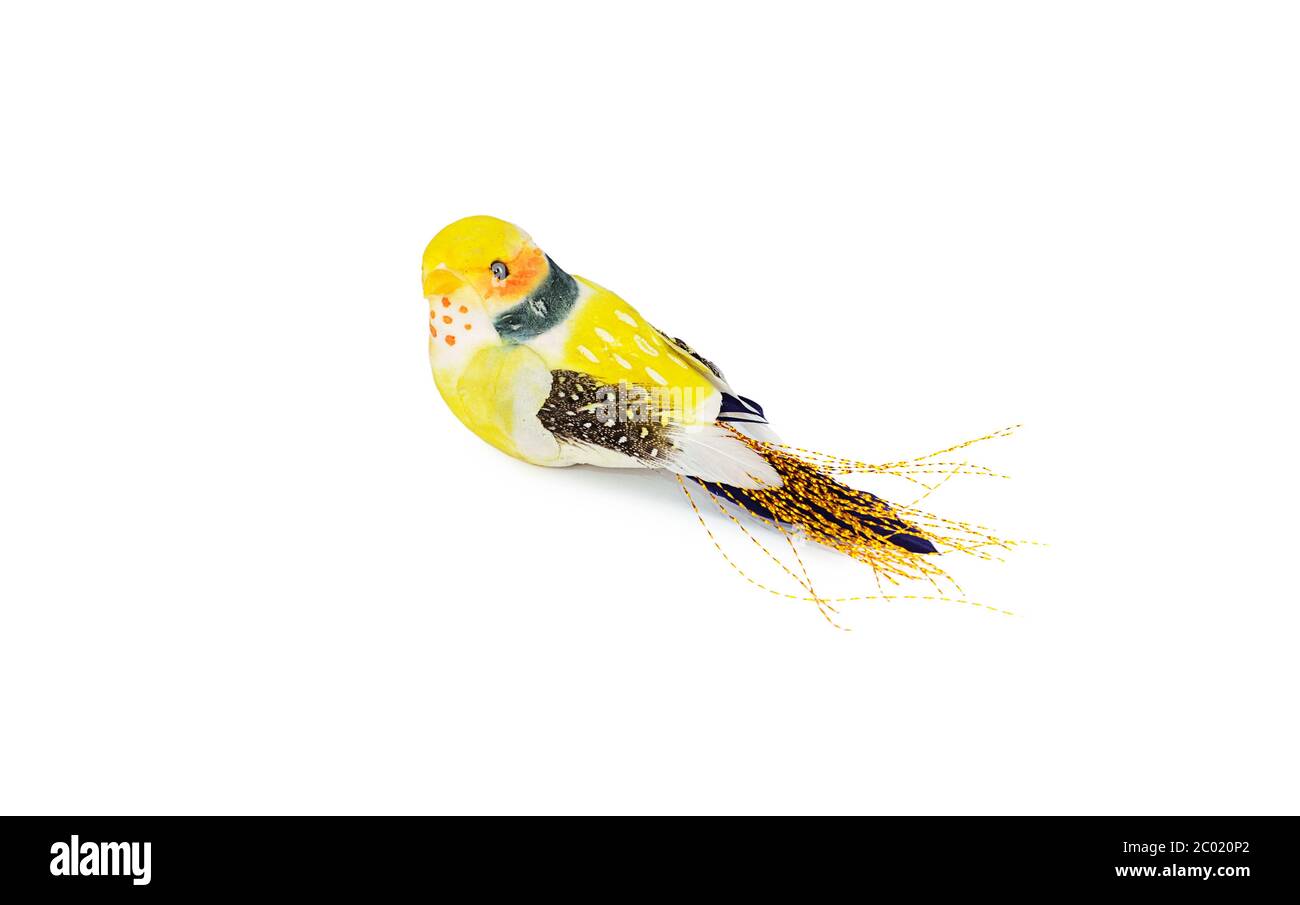 Toy bird isolated on white background Stock Photo - Alamy