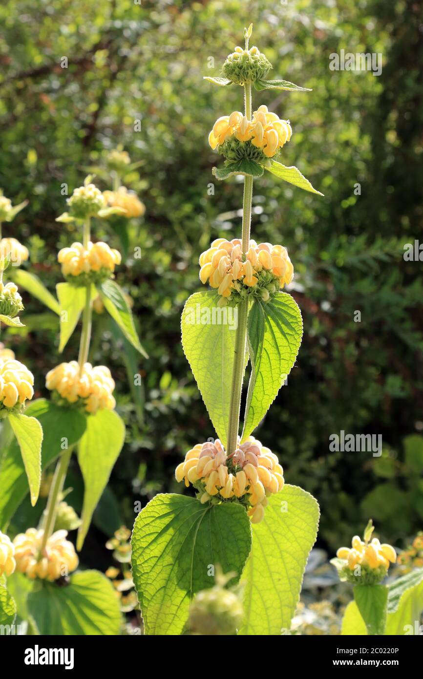 Borders identify hi-res stock photography and images - Alamy