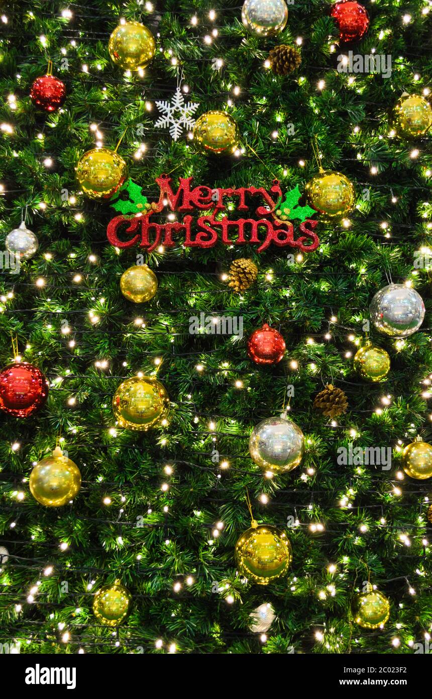 Merry Christmas sign on the tree Stock Photo - Alamy