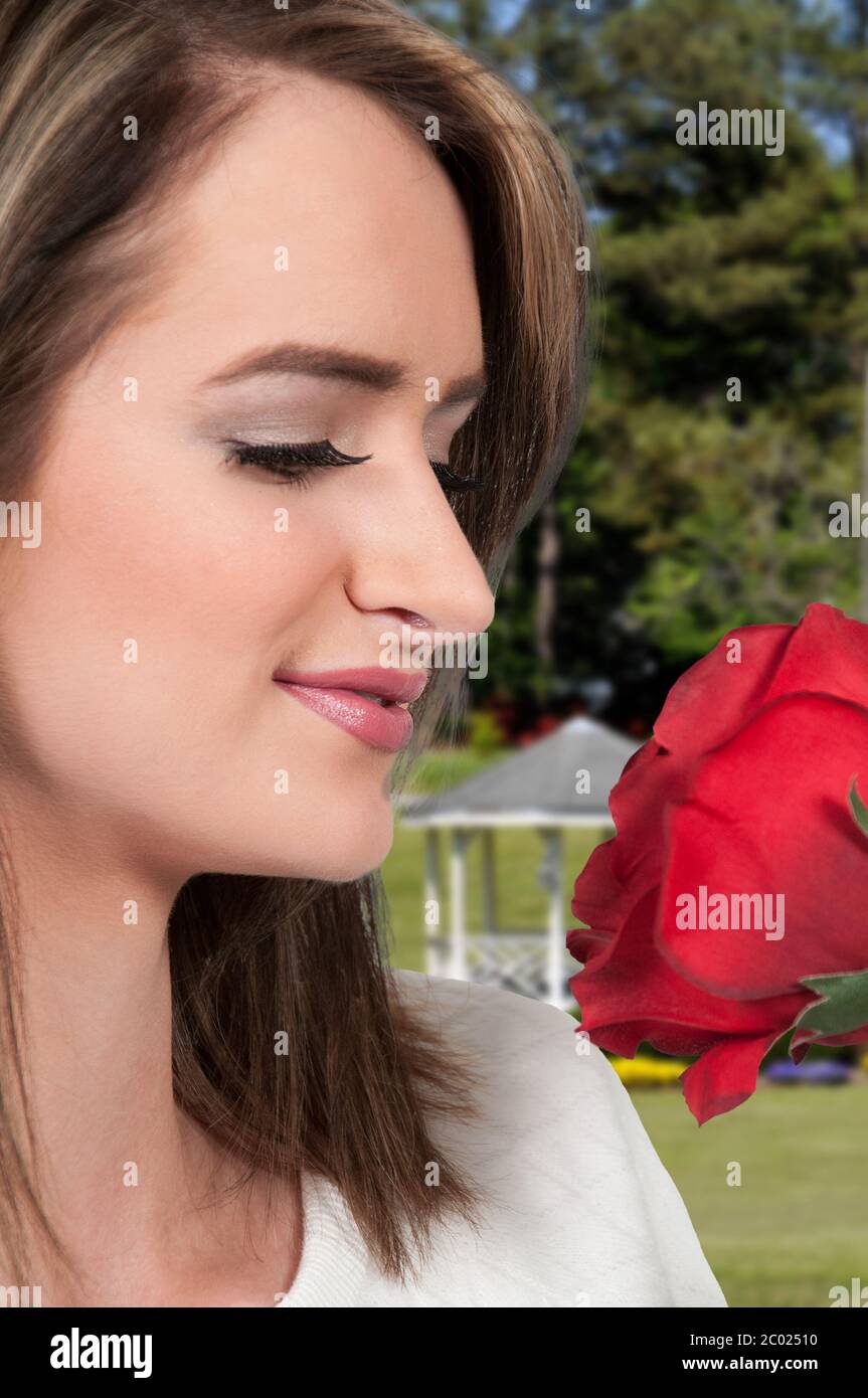 Woman Holding Rose Stock Photo - Alamy