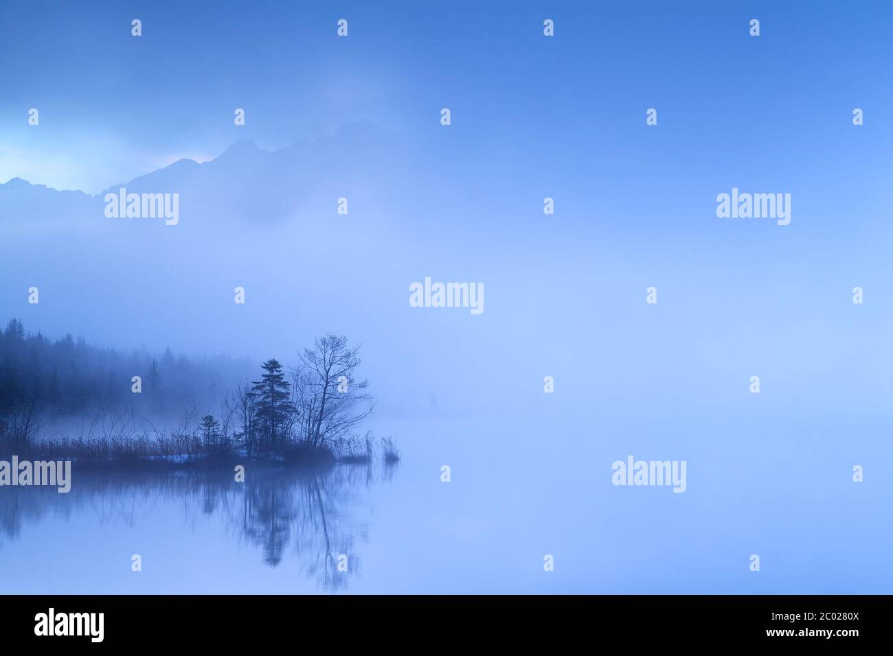 Dense fog over forest hi-res stock photography and images - Alamy