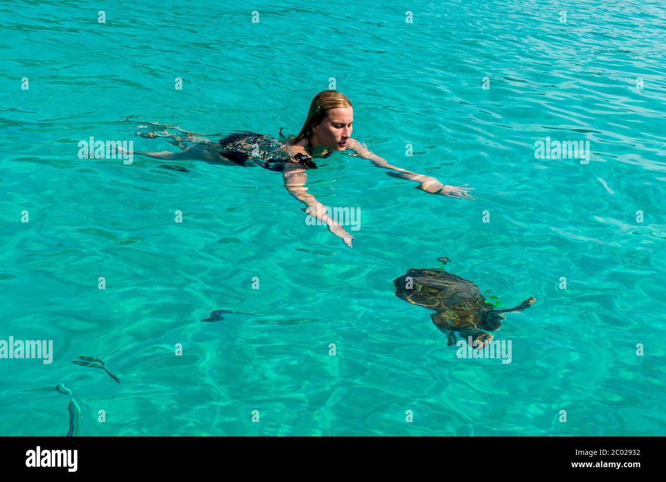 Redang Island, Malaysia; May-2019; Swimming with the turtles, Redang ...