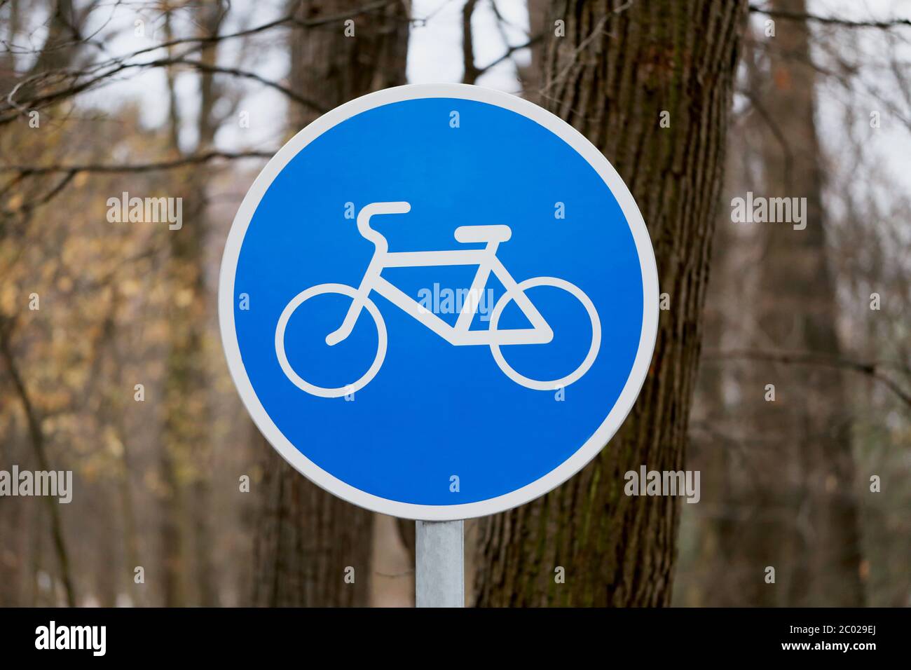 Bike on the pavement Stock Photo - Alamy