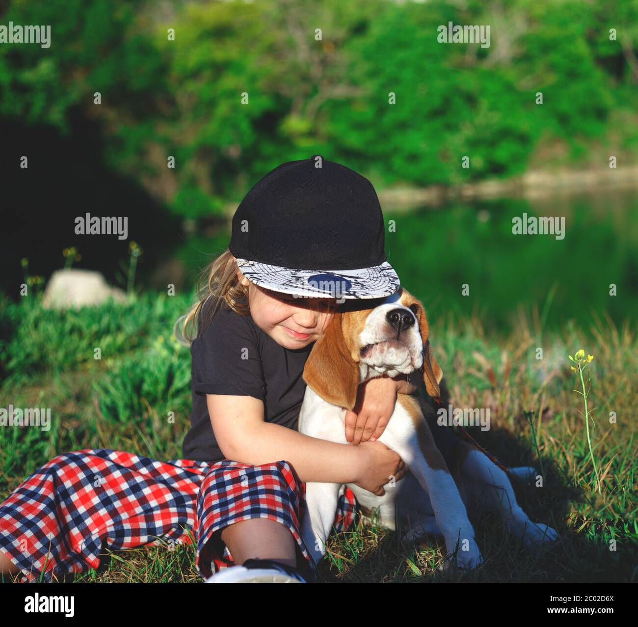 Beagle dog kids playing hi-res stock photography and images - Alamy
