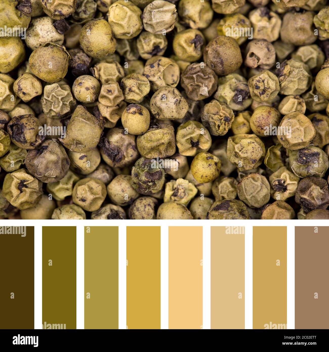A background of green peppercorns in a colour palette, with ...