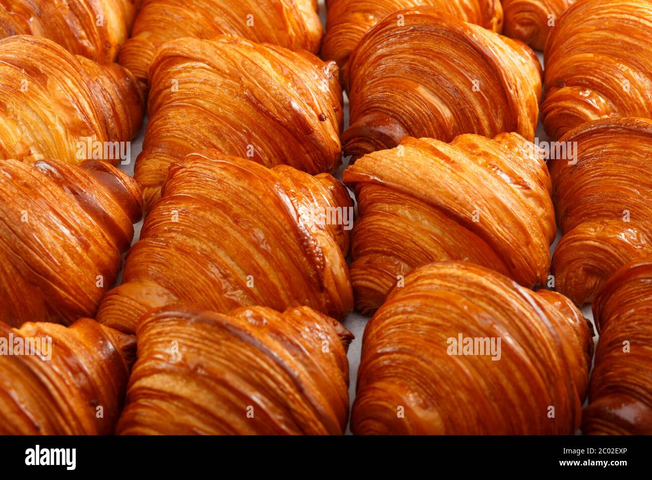 Seamless pattern of tasty french croissant, background, for designs and ...