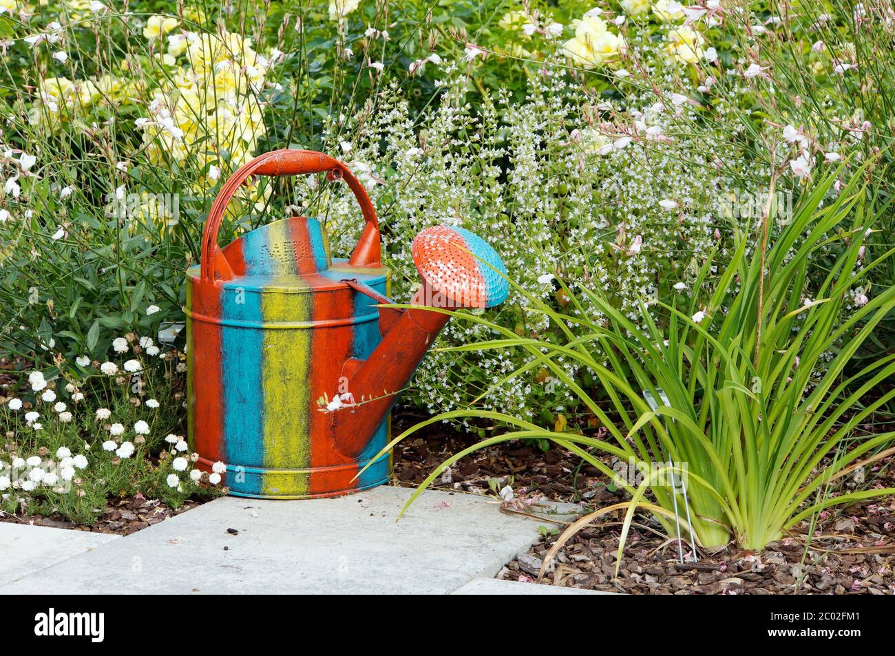 colorful watering can in the garden Stock Photo - Alamy
