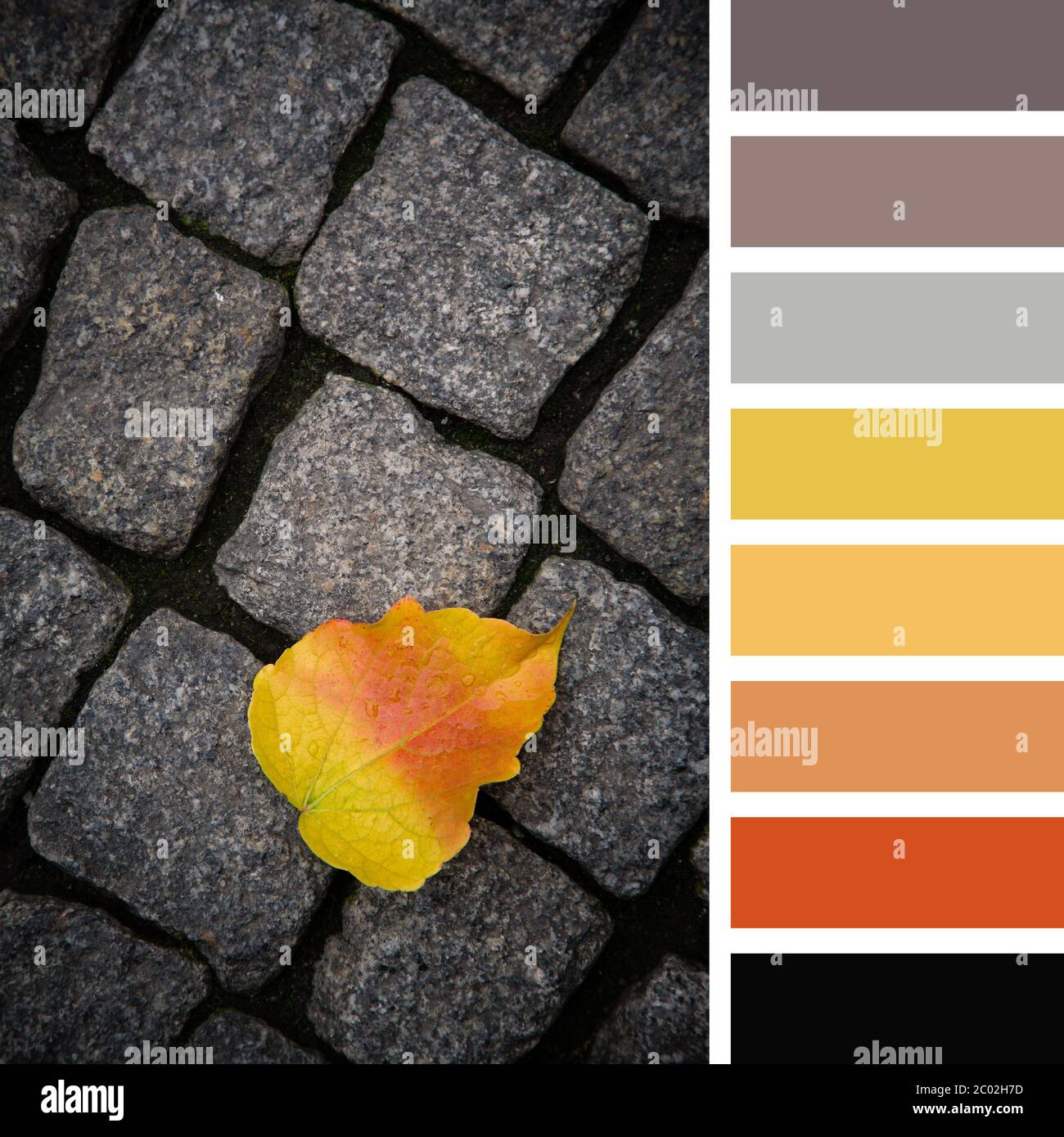 Swatches colours chart hi-res stock photography and images - Alamy