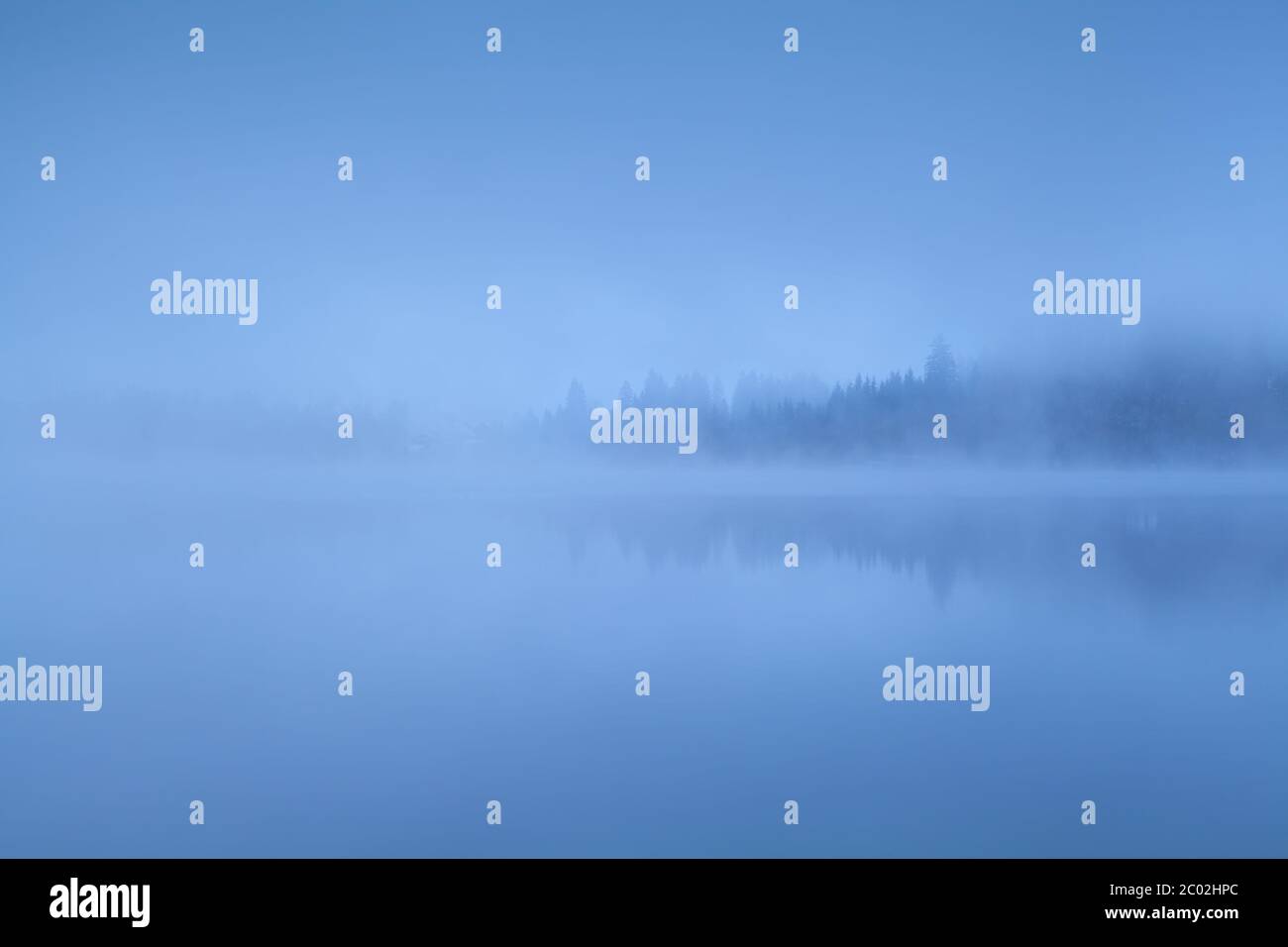 Dense fog over forest hi-res stock photography and images - Alamy