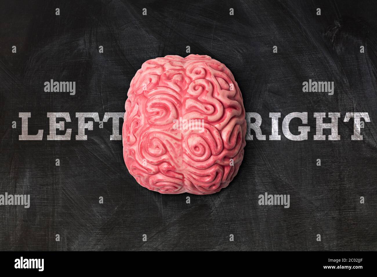 human brain with left right message on a blackboard Stock Photo - Alamy