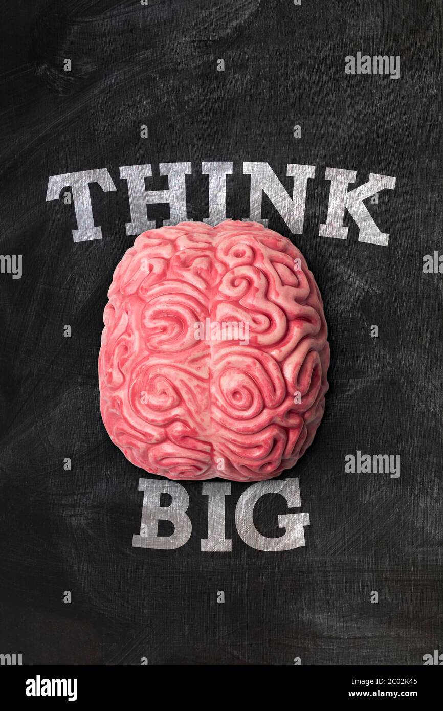 human brain with think big message on a blackboard Stock Photo - Alamy