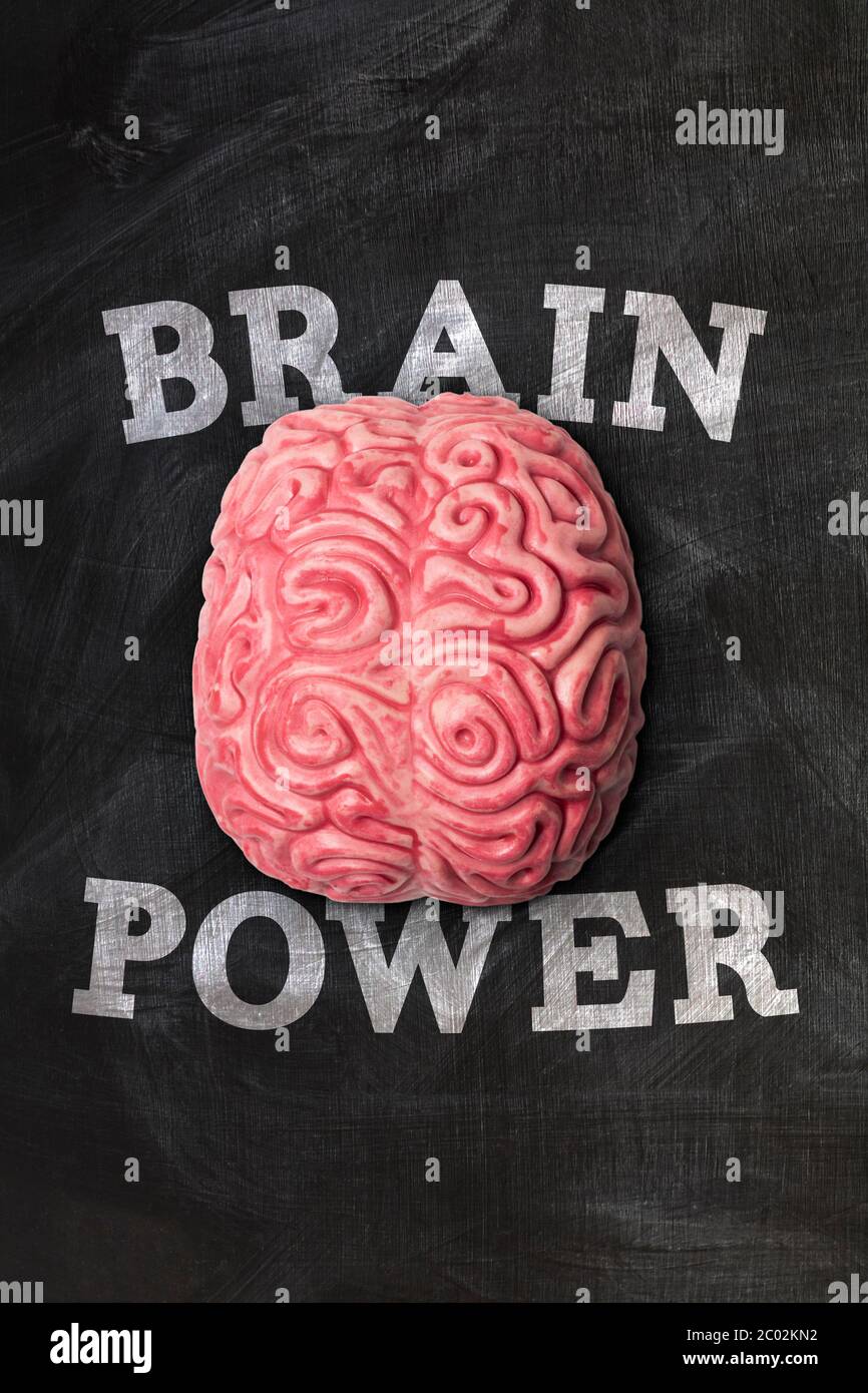 human brain with brain power message on a blackboard Stock Photo - Alamy