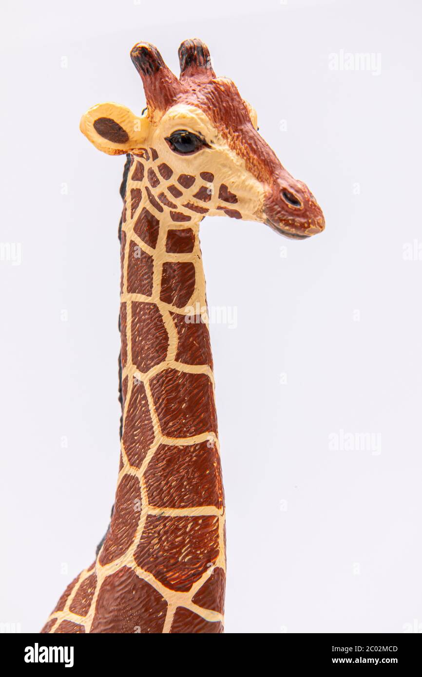 close up of a giraffe from a plastic toy isolated on a white background ...