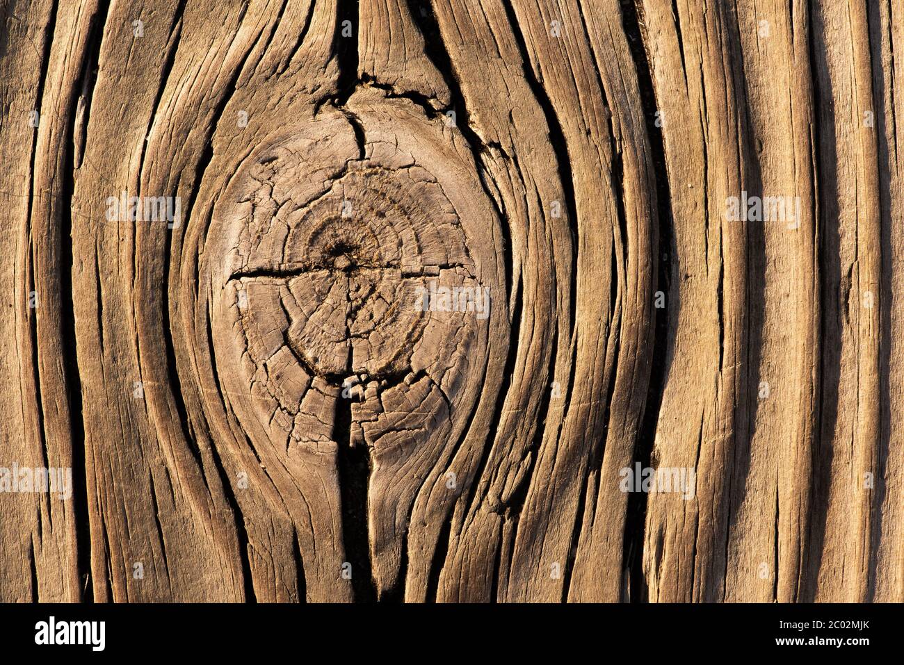 Erosion by wind and water has etched out the knots and wood grain in ...