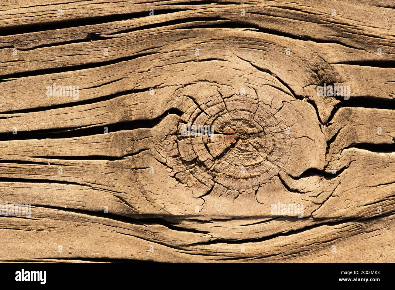 Erosion by wind and water has etched out the knots and wood grain in ...