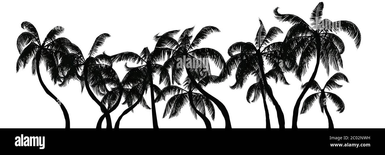 Holiday scene palm trees Cut Out Stock Images & Pictures - Alamy