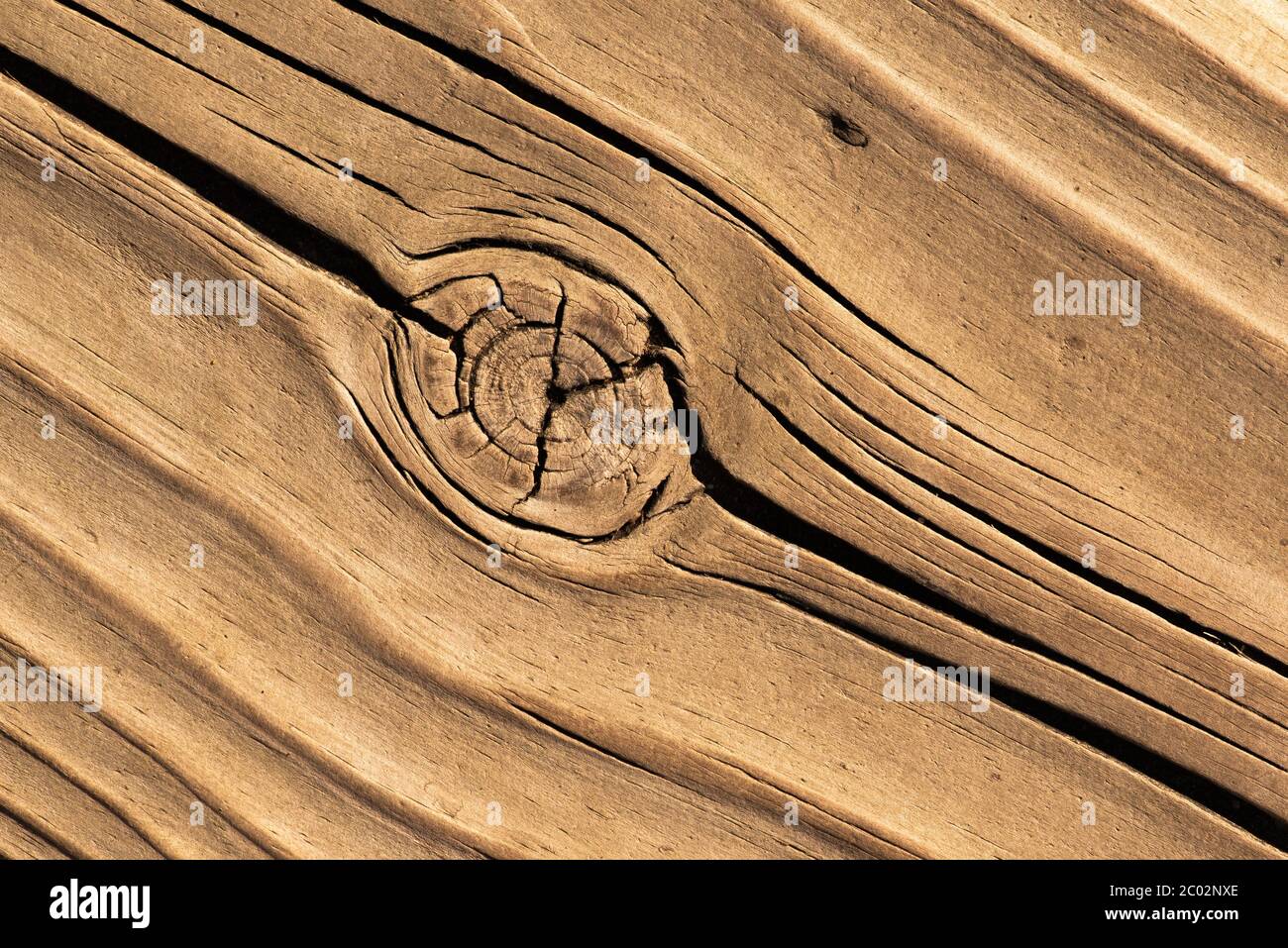 Erosion by wind and water has etched out the knots and wood grain in ...