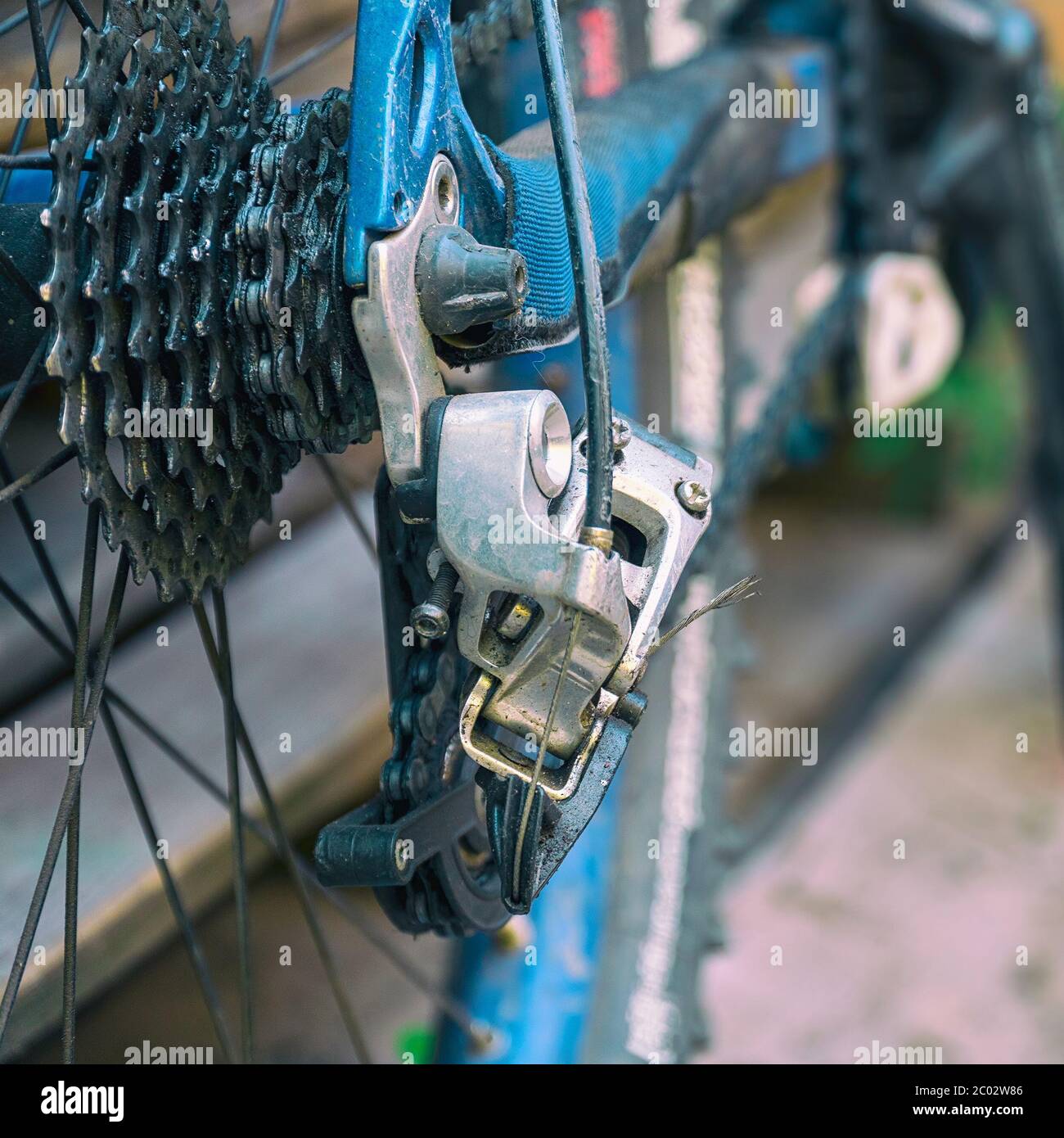View of the mechanism of the rear wheel of the Bicycle. Bicycle ...