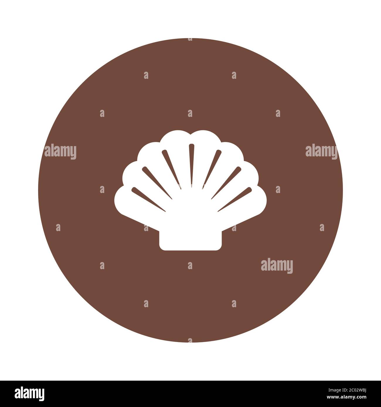 Shell and circle Stock Photo - Alamy