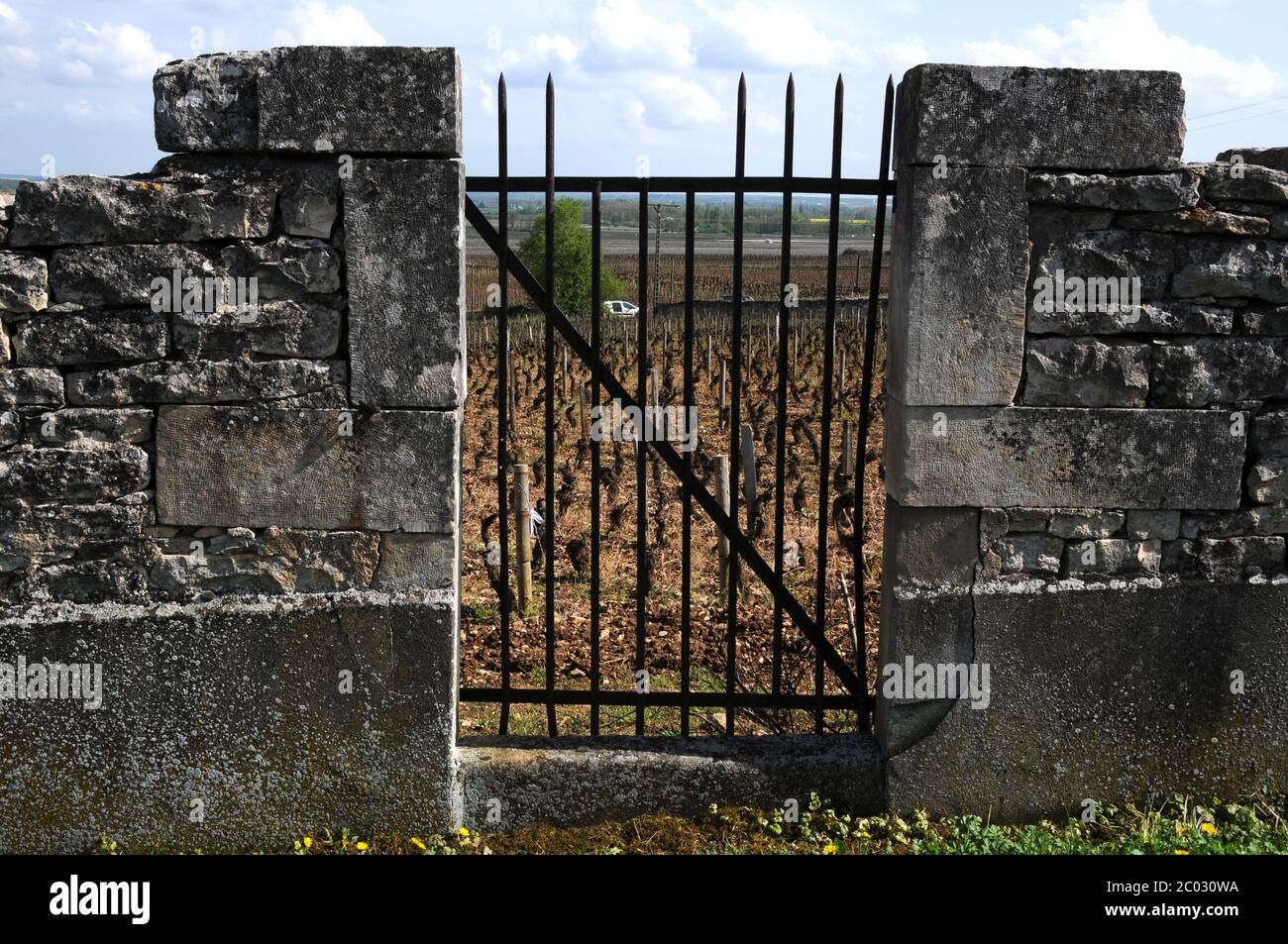 Old metal farm gate hi-res stock photography and images - Alamy