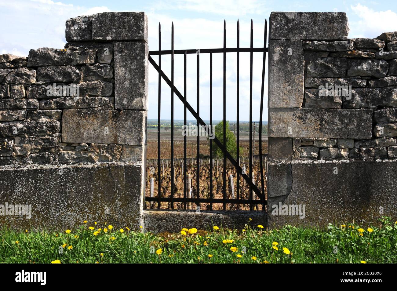 Old metal farm gate hi-res stock photography and images - Alamy
