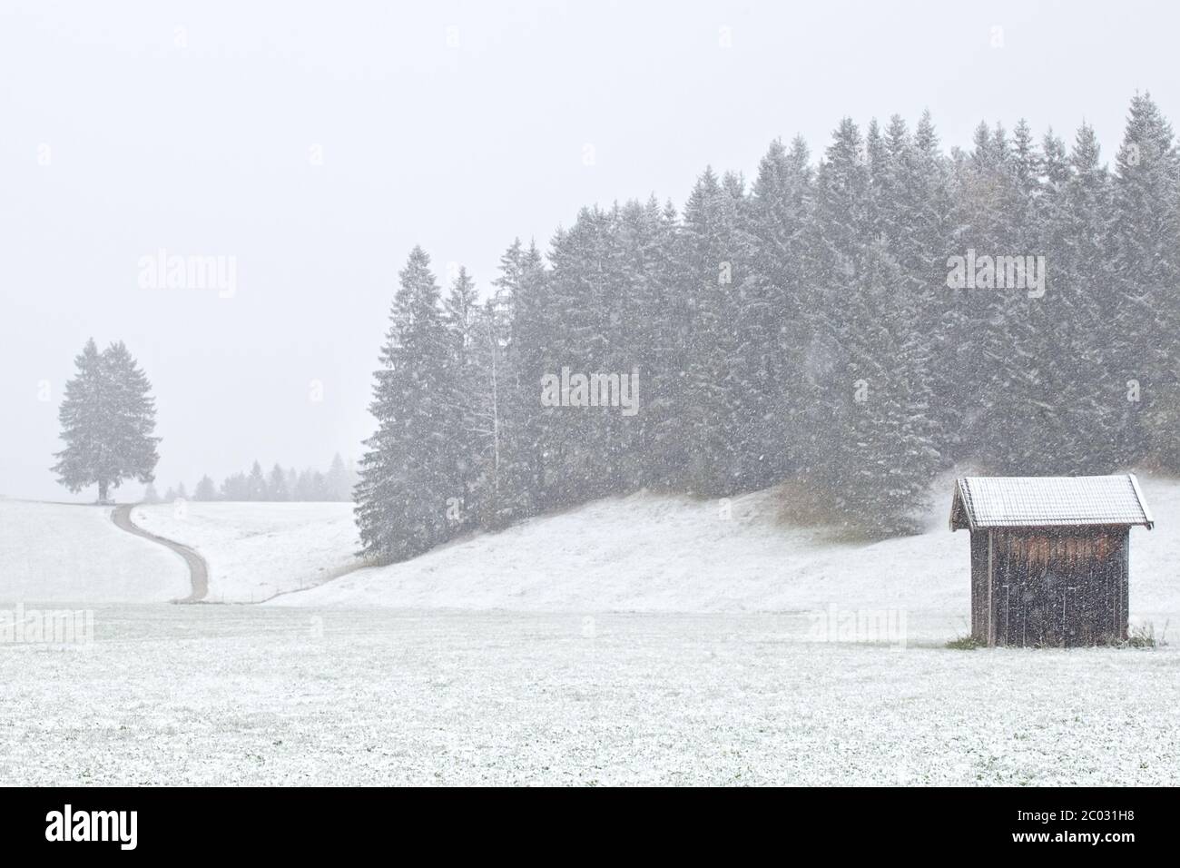 old hut and hills in heavy snowstorm Stock Photo - Alamy