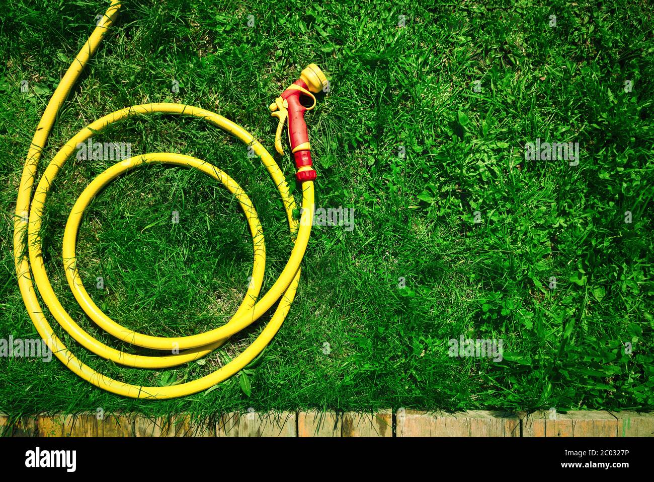 Yellow hose with a nozzle lies on green lawn folded in rings on garden ...