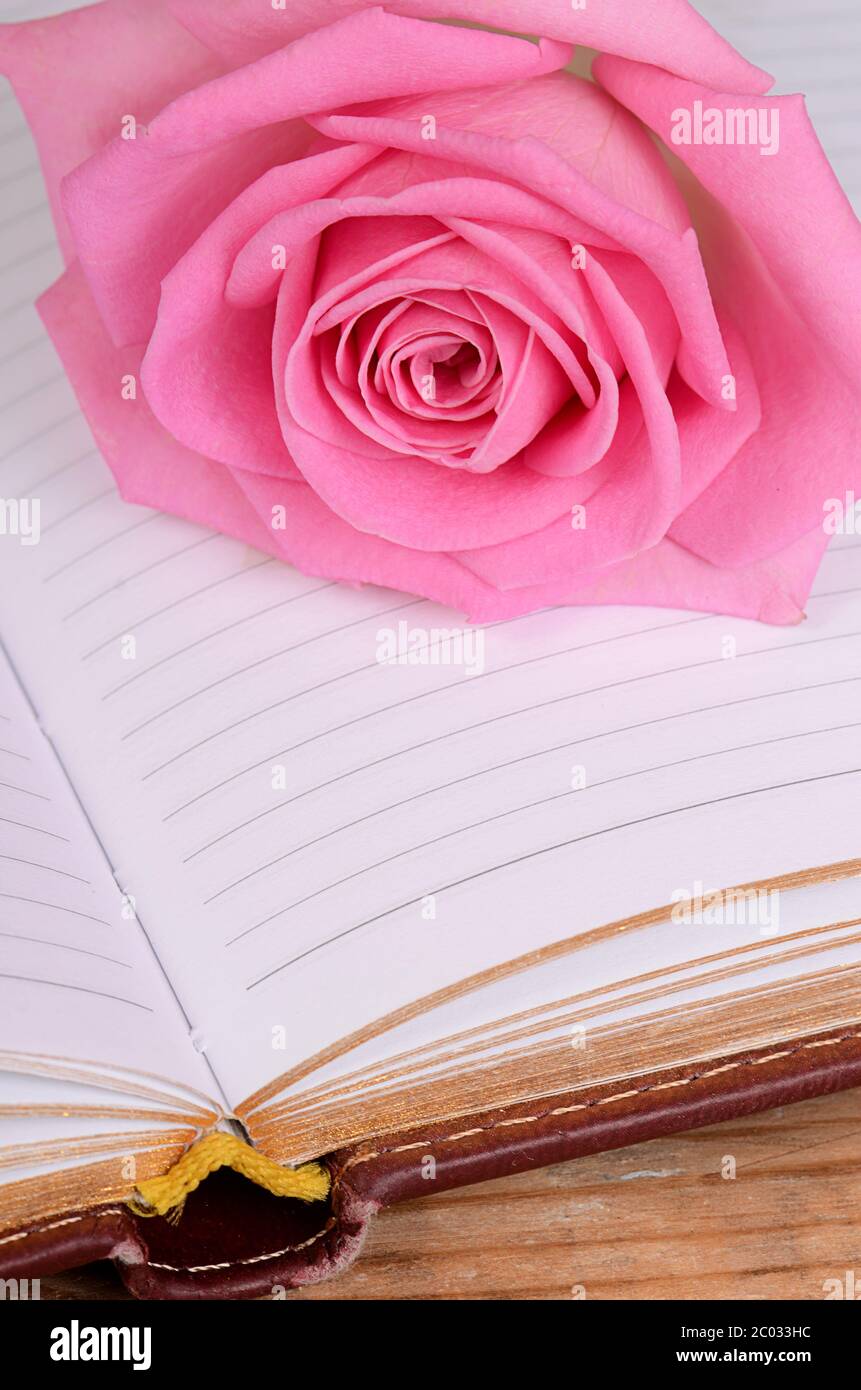 The rose on the book Stock Photo - Alamy