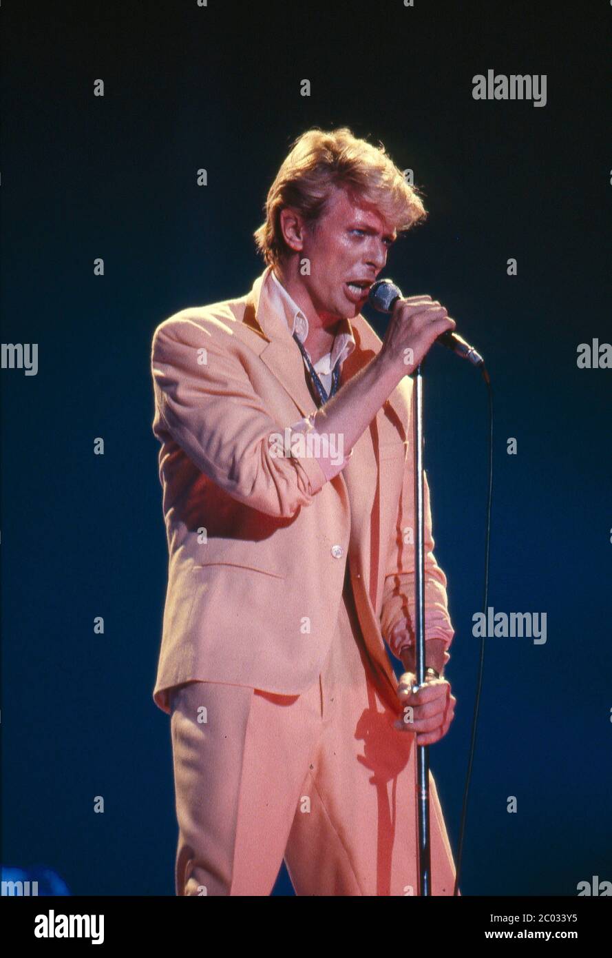 Serious Moonlight Tour