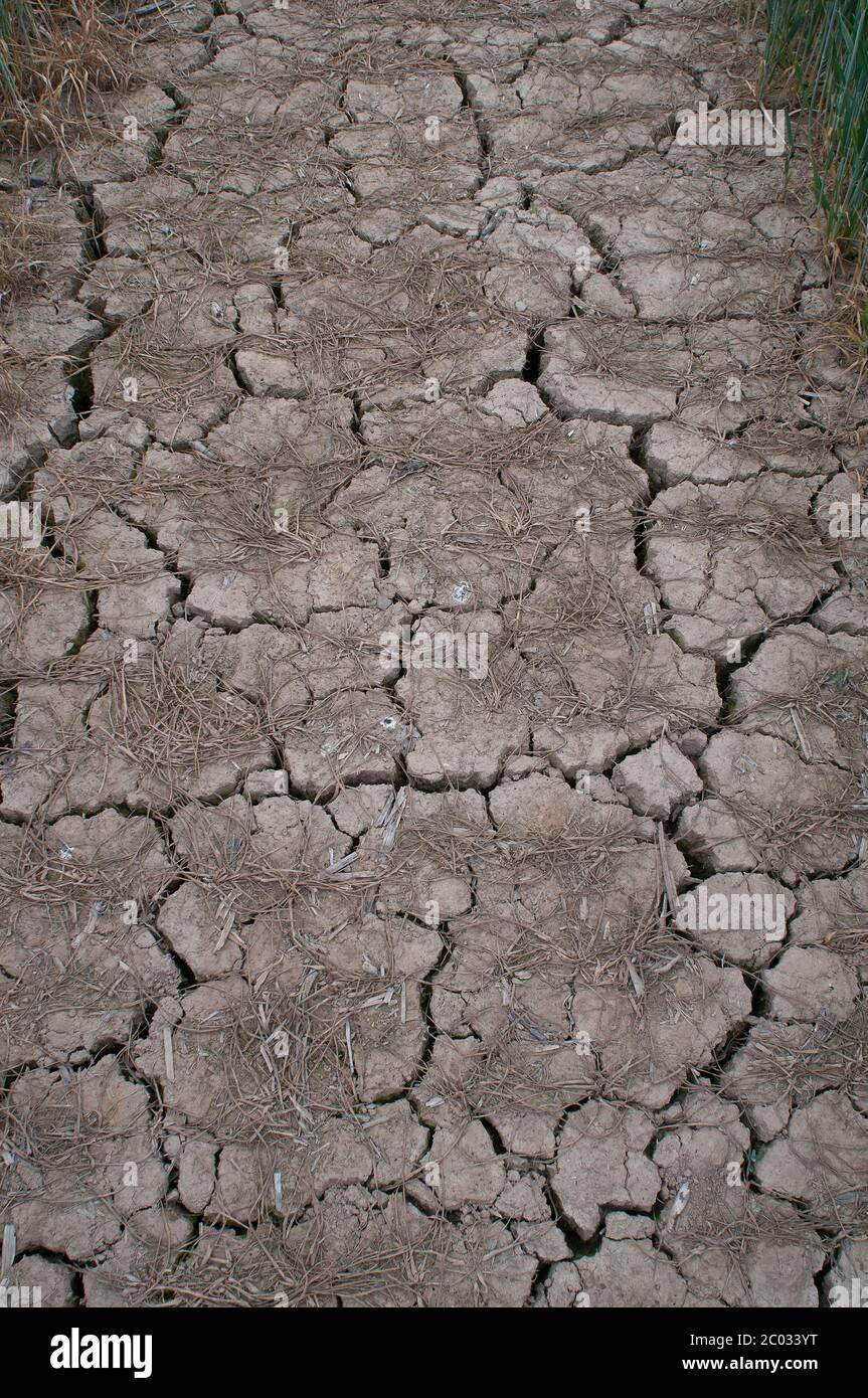 Very dry and cracked soil, earth Stock Photo - Alamy