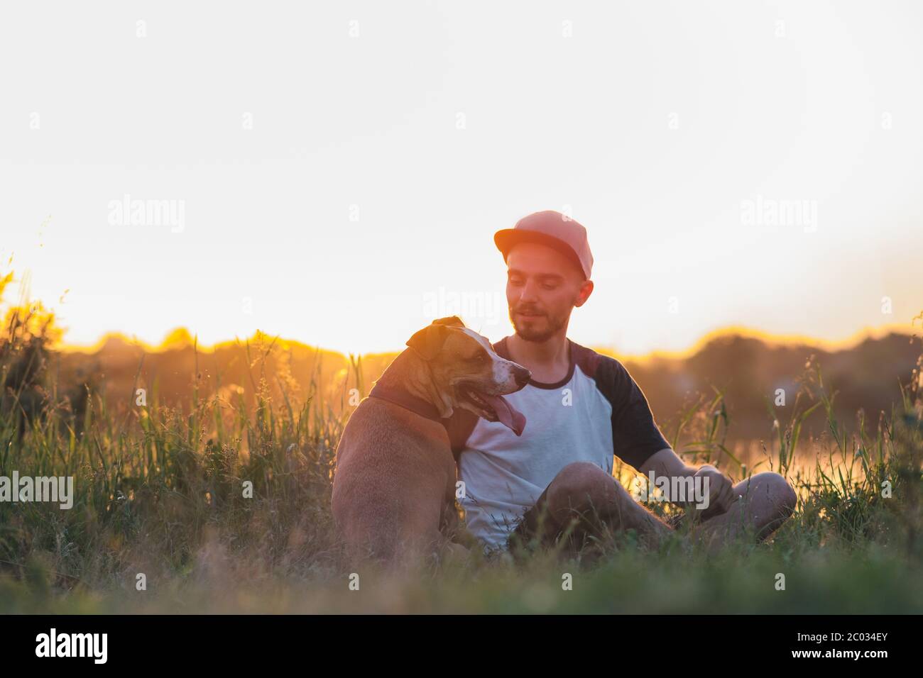 Pitbull Dog High Resolution Stock Photography and Images - Alamy
