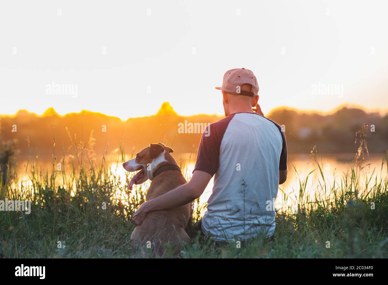Man and dog bond hi-res stock photography and images - Alamy