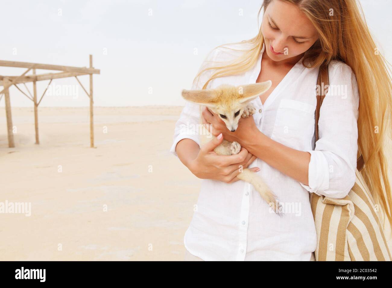 Fennec fox hunting hi-res stock photography and images - Alamy